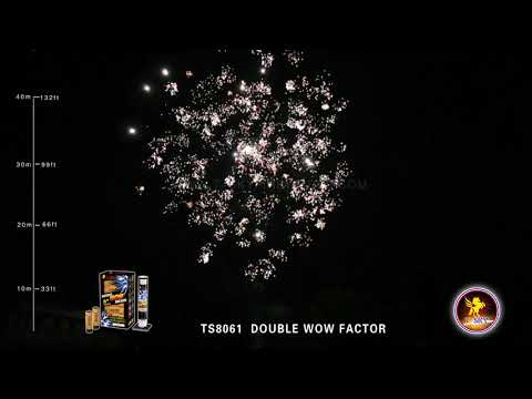 Double Wow Factor 6" – Curbside Fireworks